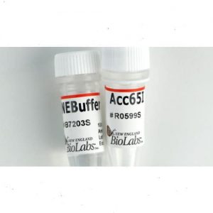 1 kb Plus DNA Ladder, NEB | 1Malaysia Bio Lab